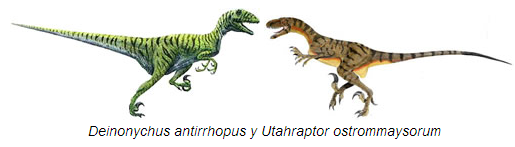 Paleontología y Evolución en la UCM: Los Terópodos