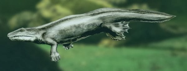 Mundo Pré-Histórico: Ictiostega, um "peixe" fora d'água
