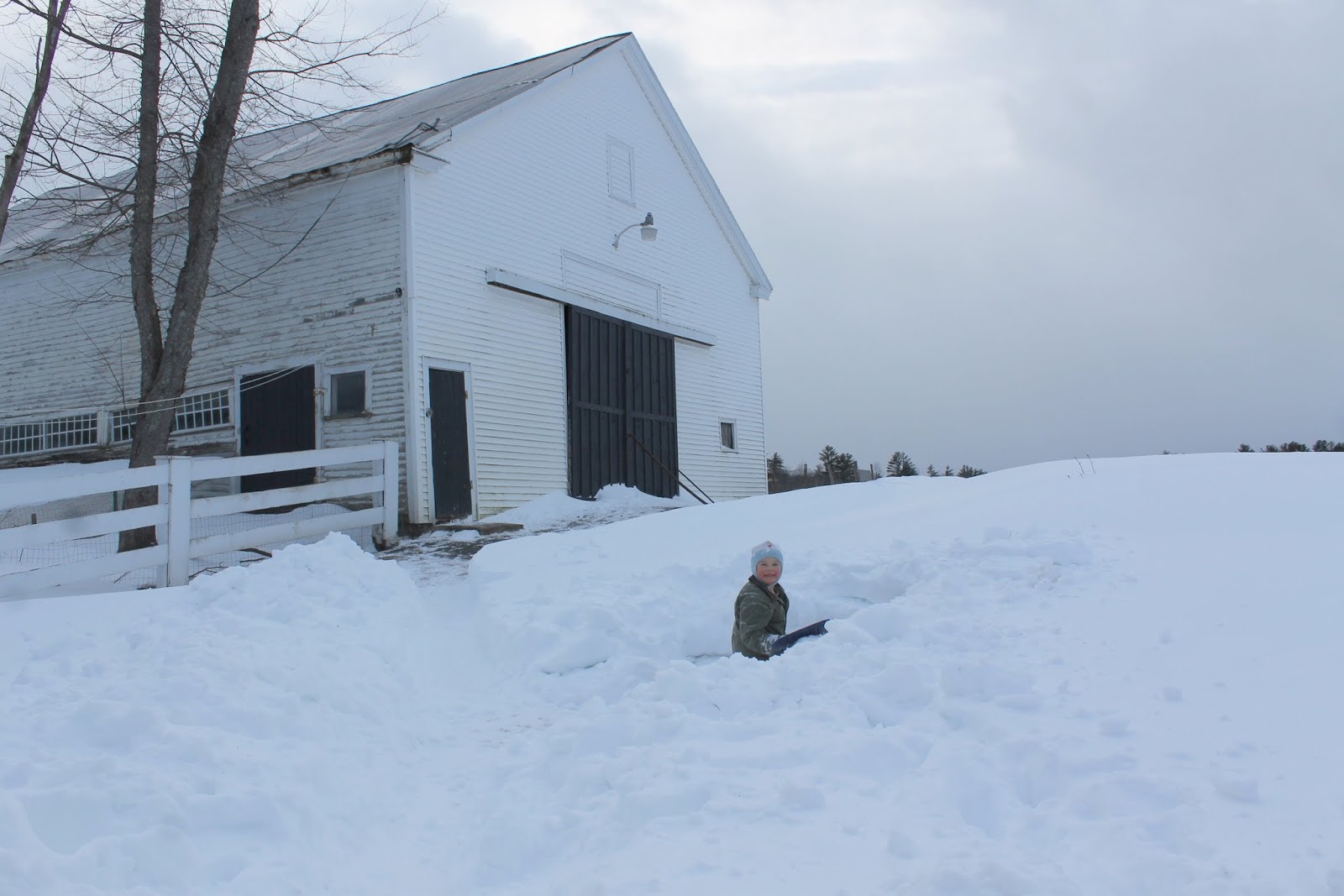 born imaginative.: Snow days