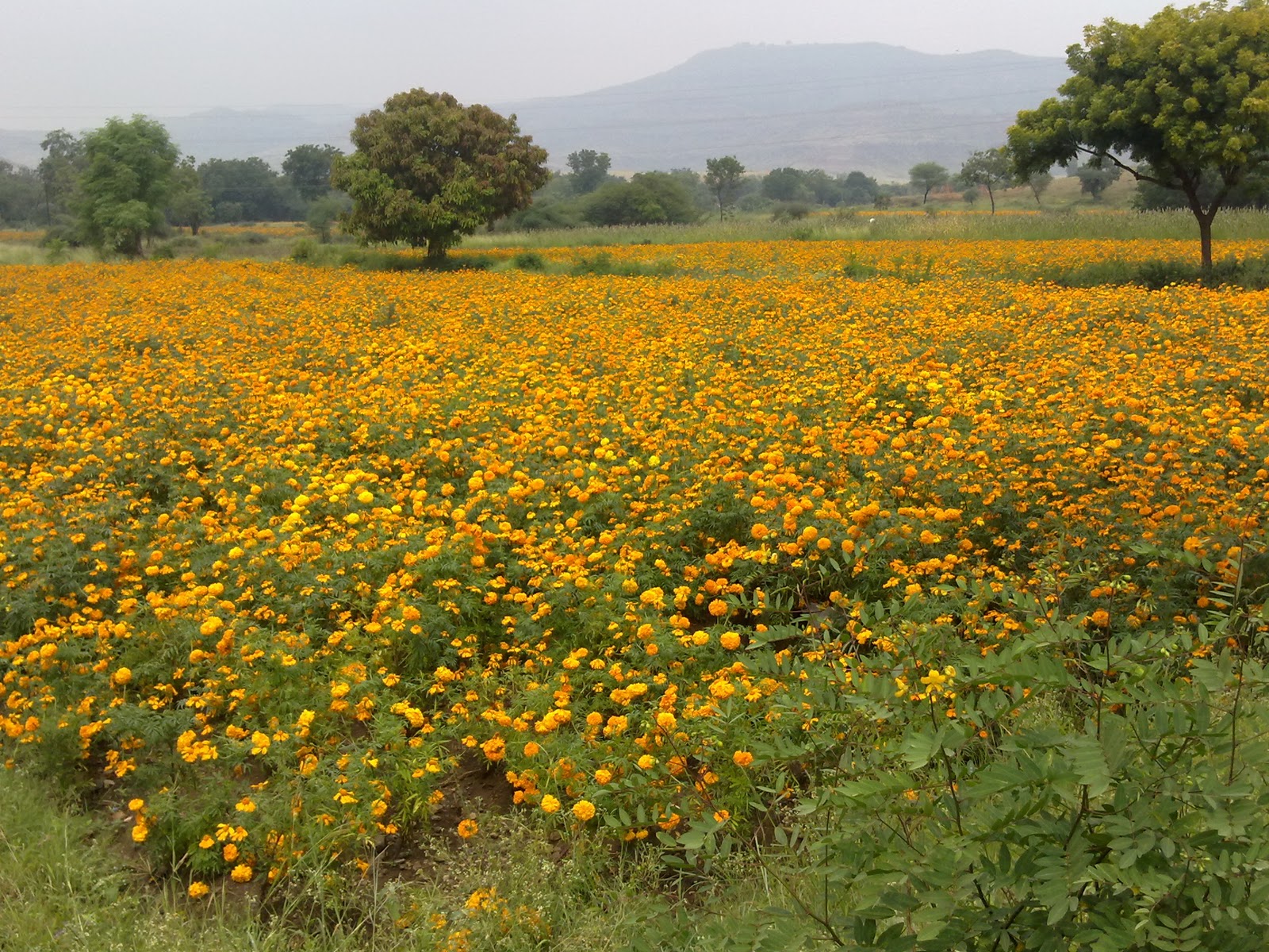 My Picnic Trip around Pune: My picnic trip around Pune - Jejuri Juna ...