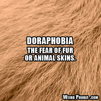 Collections: Phobias