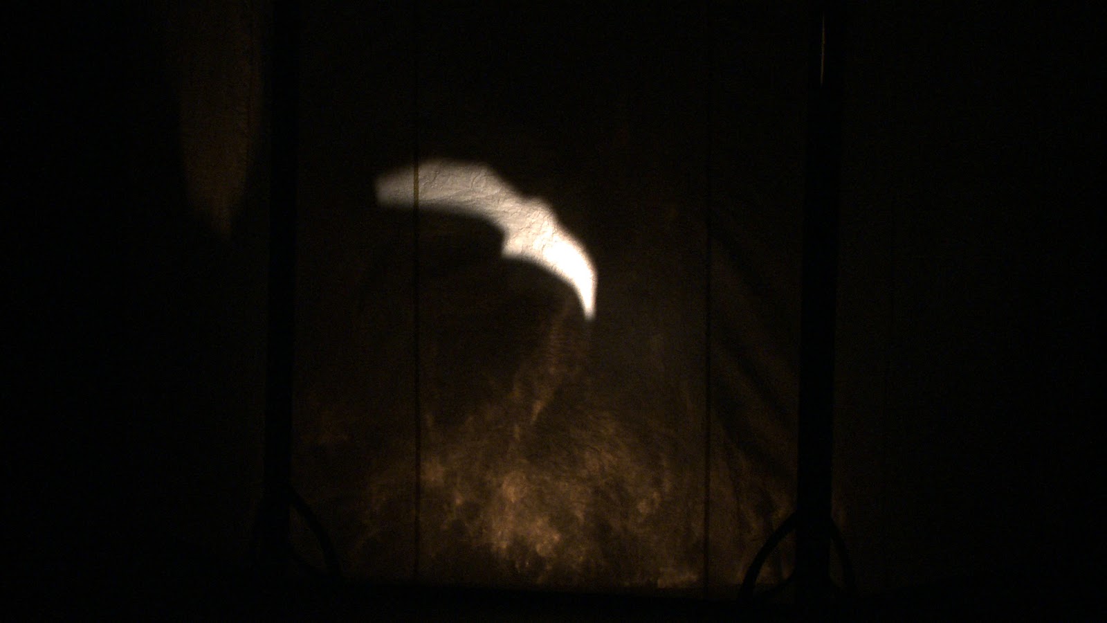 Sean Frey: Performance and Design: Feist Shadow Show