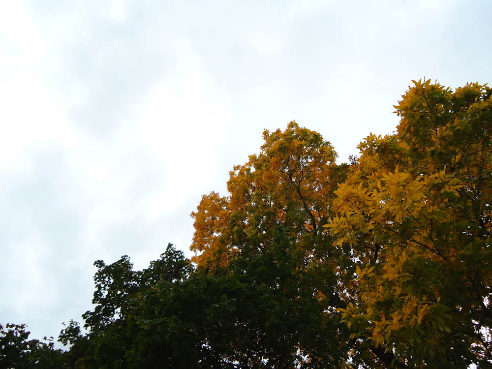 MHusich Blog: Examples of Bad Composition