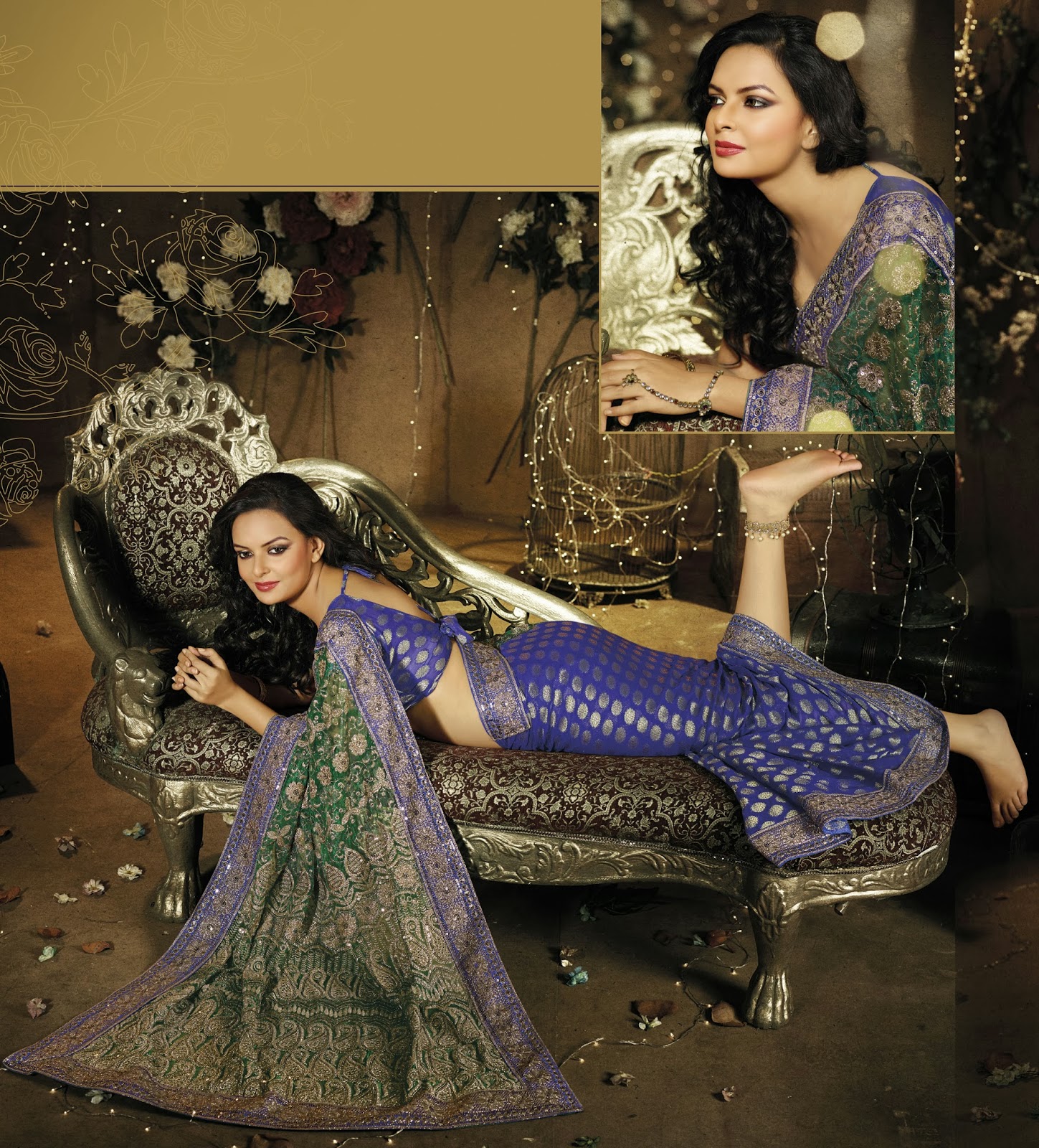 Designer Sarees Images: Festive Season Saree Collection