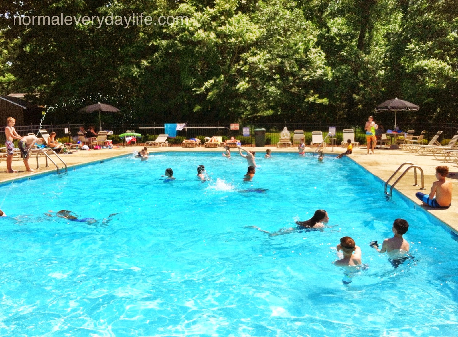 Normal Everyday Life: Time for Summer