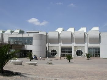 historia de la biblioteca el tintal