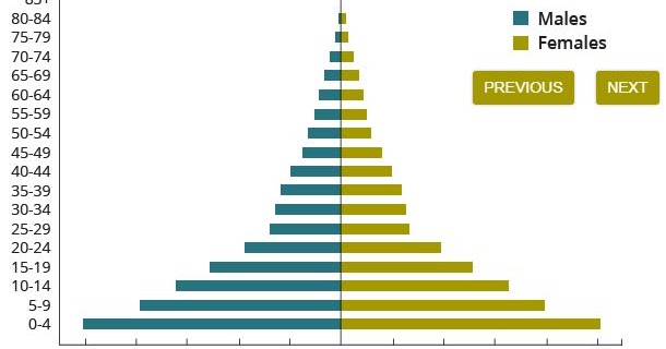 Kenya Population: Kenya's Population Pyramid