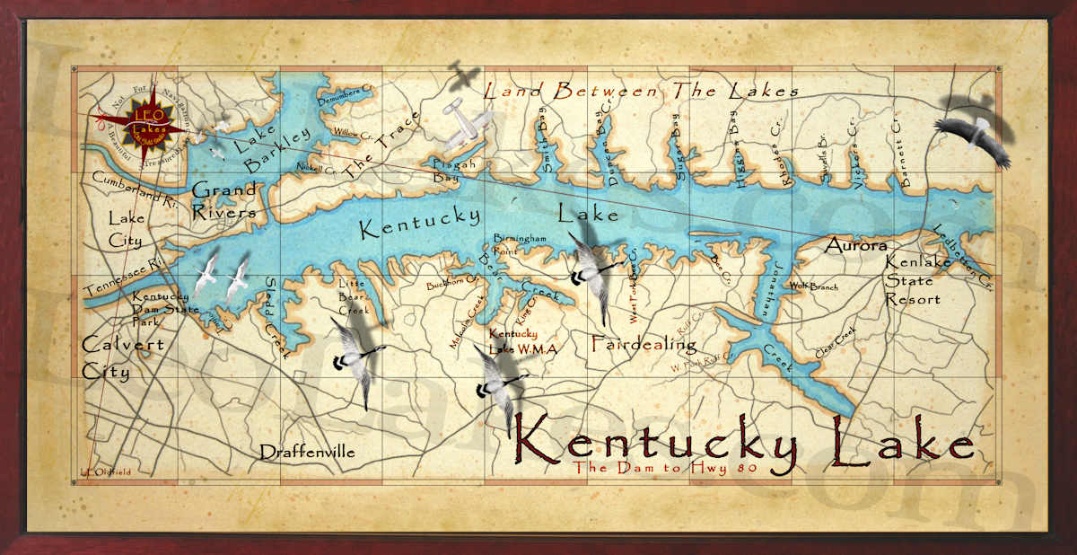 BaitRageous: Kentucky Lake Pelicans?