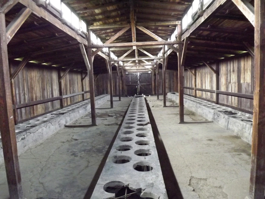 skitanje : Poseta Aušvicu, logoru smrti