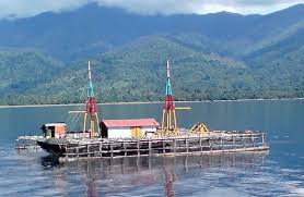 ALAT TANGKAP BAGAN DAN JENISNYA