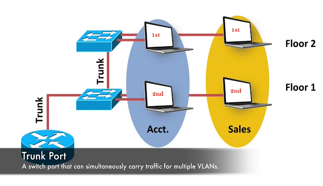 Trunking Theory | Best Cisco CCNA CCNP and Linux/CentOS PDF Notes