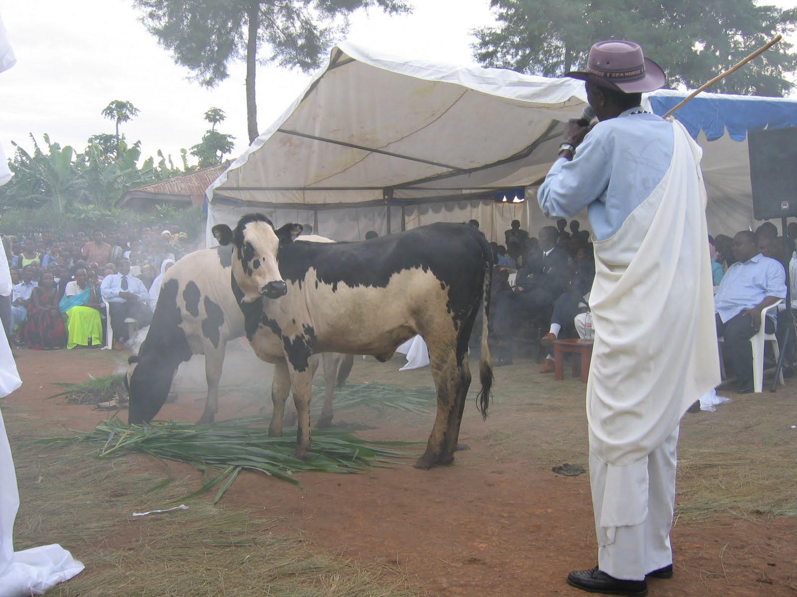 Jane's Journal: Dowry Ceremony