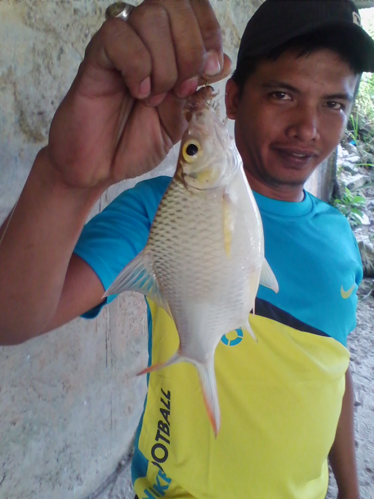 KEMBARA KAIL : PANDUAN DAN TIPS DI DALAM HUTAN