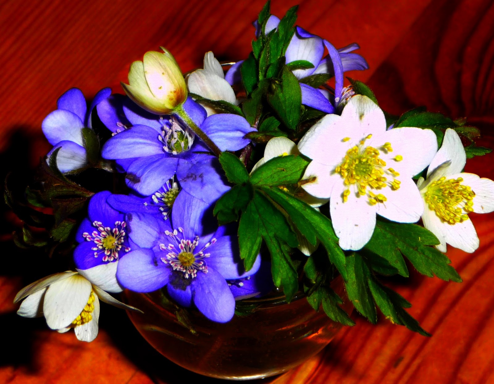 Femfemman: Trampat, tvättat, tryckt, trivts