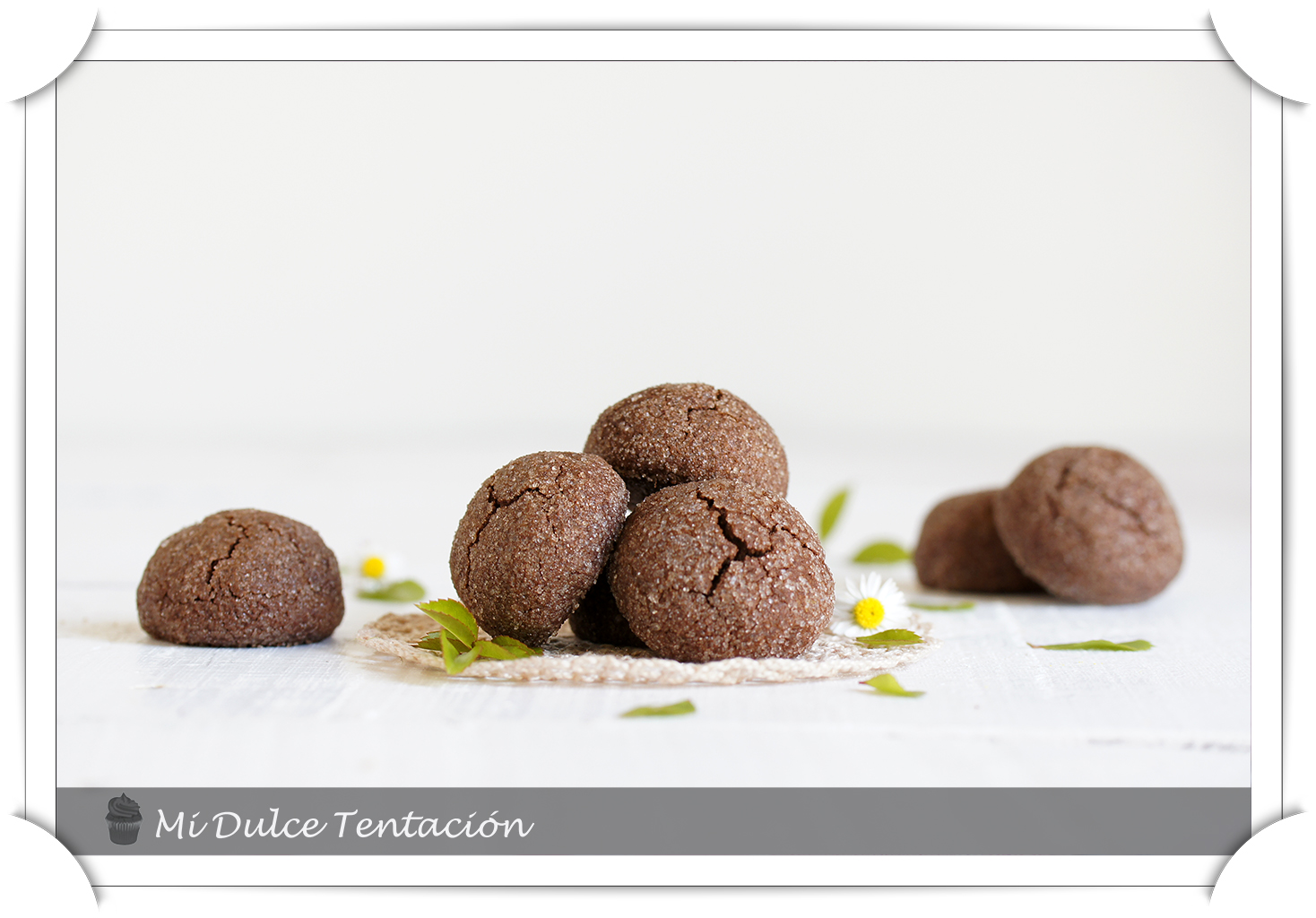 Mi dulce tentación: Chocodoodles