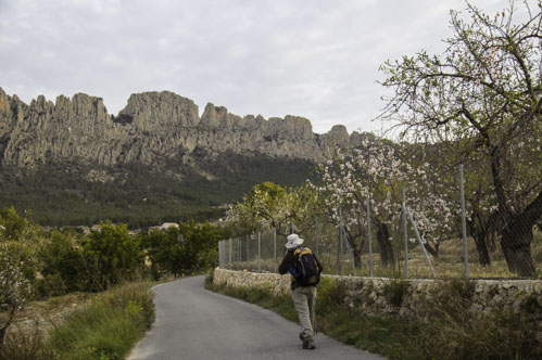 RUTA CIRCULAR A LA SERRA DELS CASTELLETS