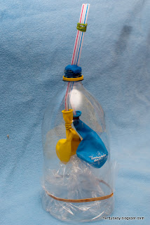 Nerdy Science: Model Lungs