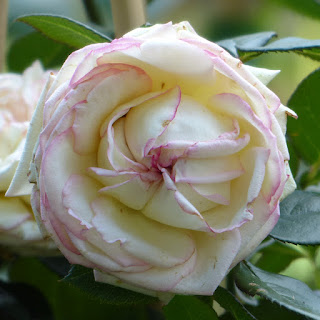 Christoph's Fotostudio: 2015