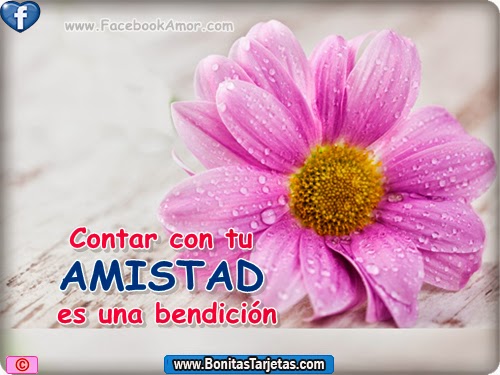 Imagenes de palabras bonitas para una amiga - Imagui