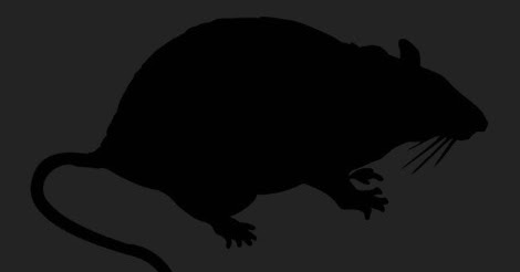 Phantoms and Monsters - Real Cryptid Encounter Reports - Fortean ...