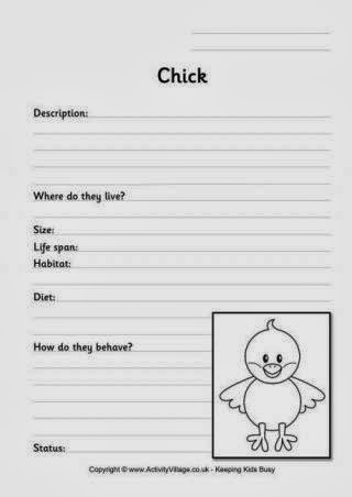 EVER AFTER - MY WAY: Free Spring Bird Worksheet Printables