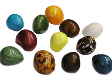 La mejor Tagua en Ecuador