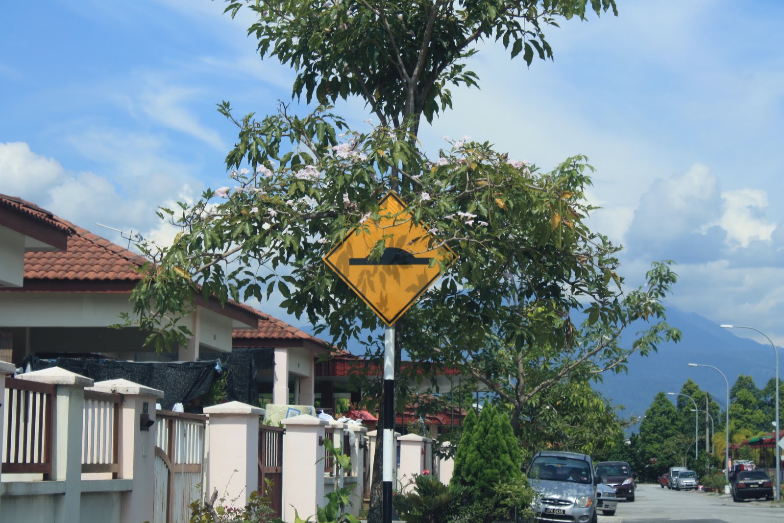 Images of Ipoh: Protected Signboard
