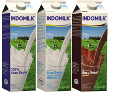 PERUSAHAAN INDOMILK ( PT. INDOLAKTO ): PRODUK
