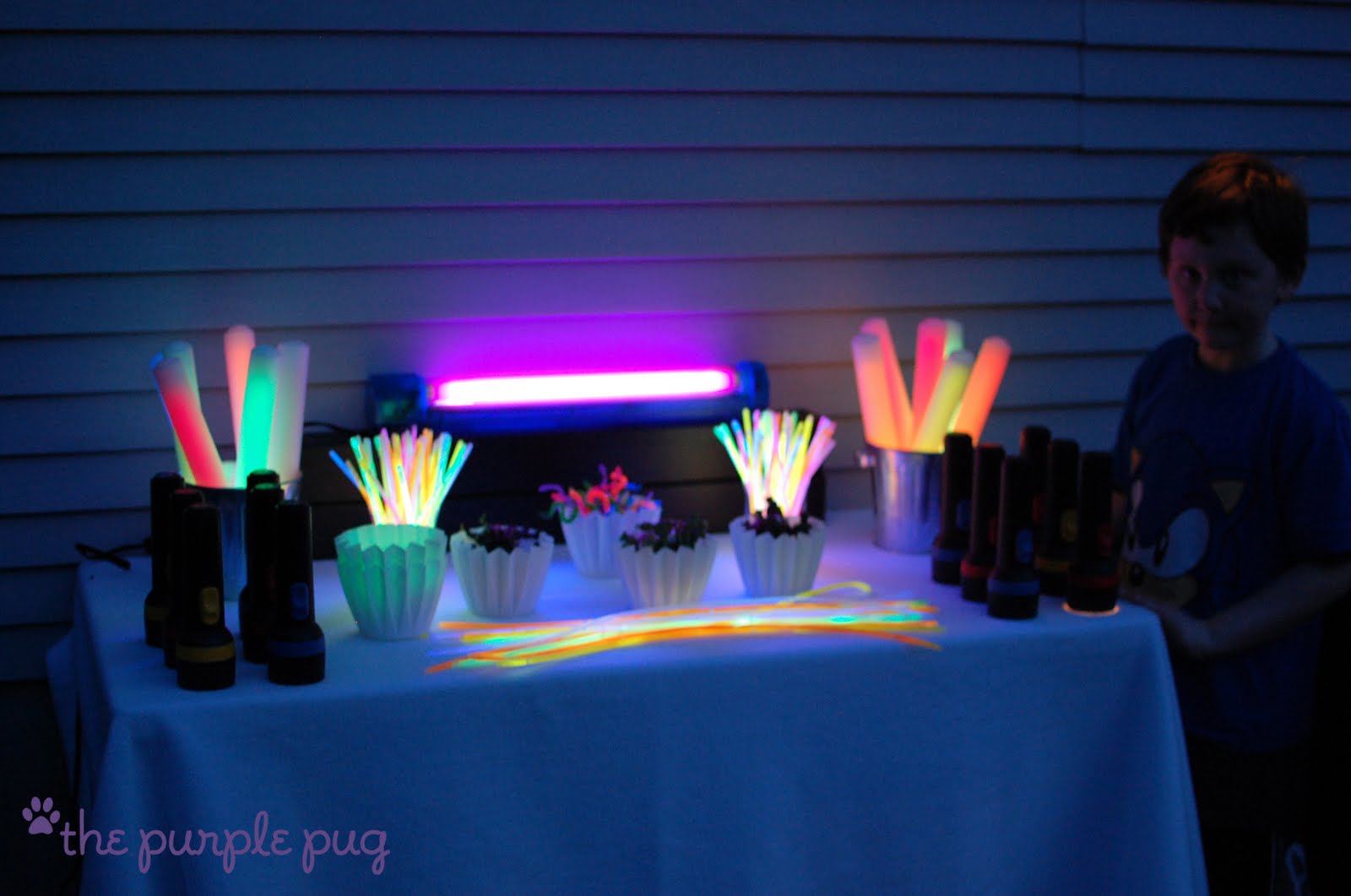 The Purple Pug: A Midsummers Night's Tiny Rave