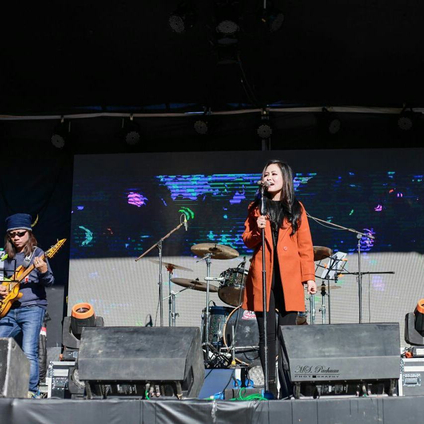 Mizo Zaithiam Hmeltha Bawk Si - Feli Fanai | TIMES OF MIZORAM