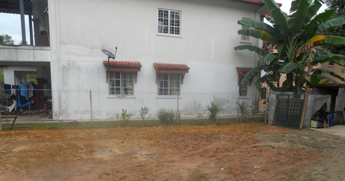 Journey Of My Gardening Planting Philippine Grass