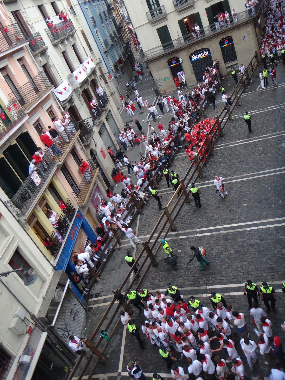 Running of the Bulls Basics: Stages of the Bull Run