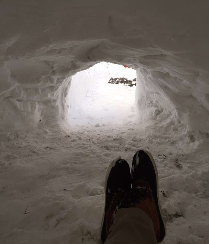 Man Builds Igloo In Brooklyn During Blizzard, Lists It On Airbnb For ...