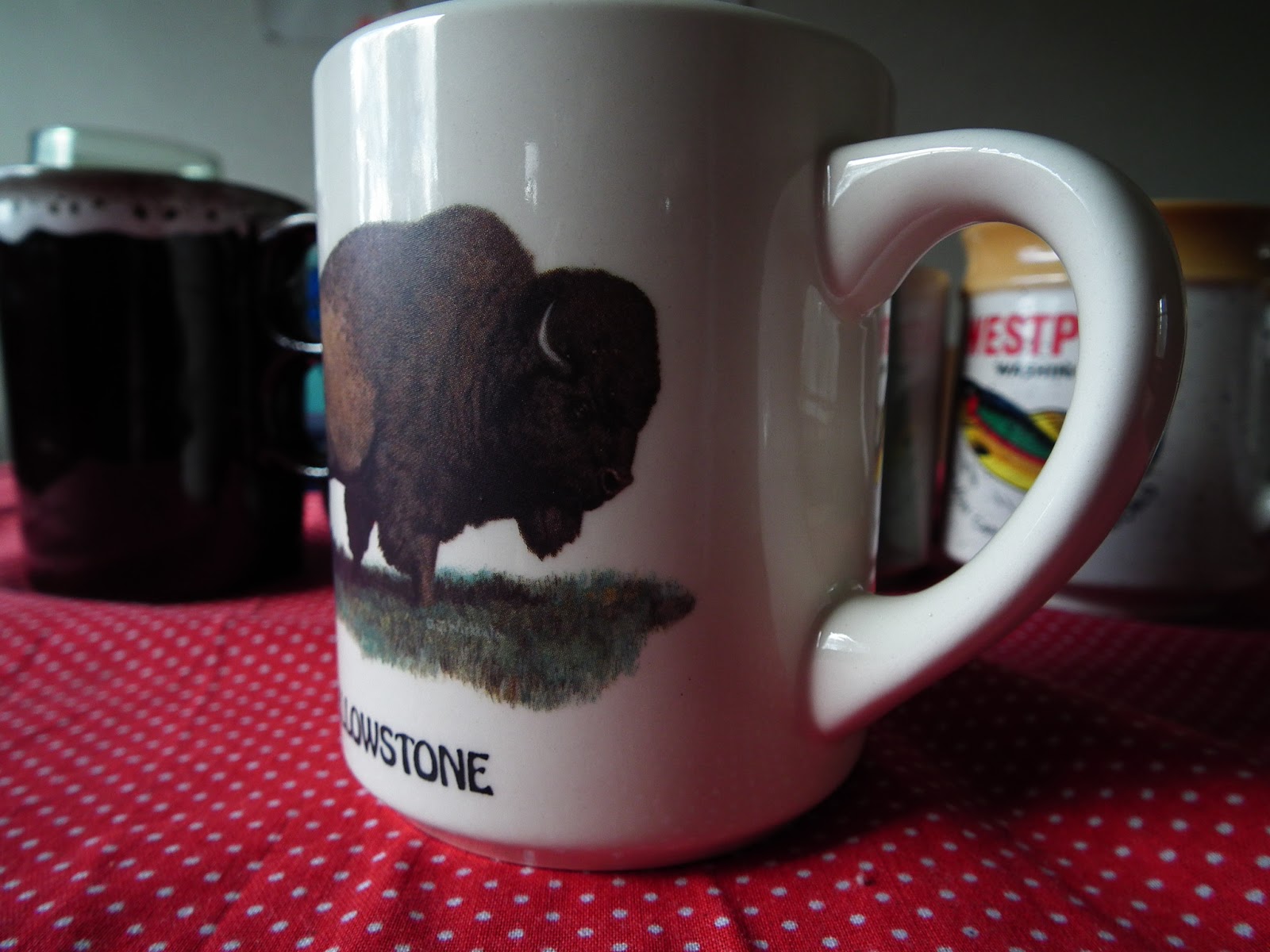 lanlettie: thrifting around