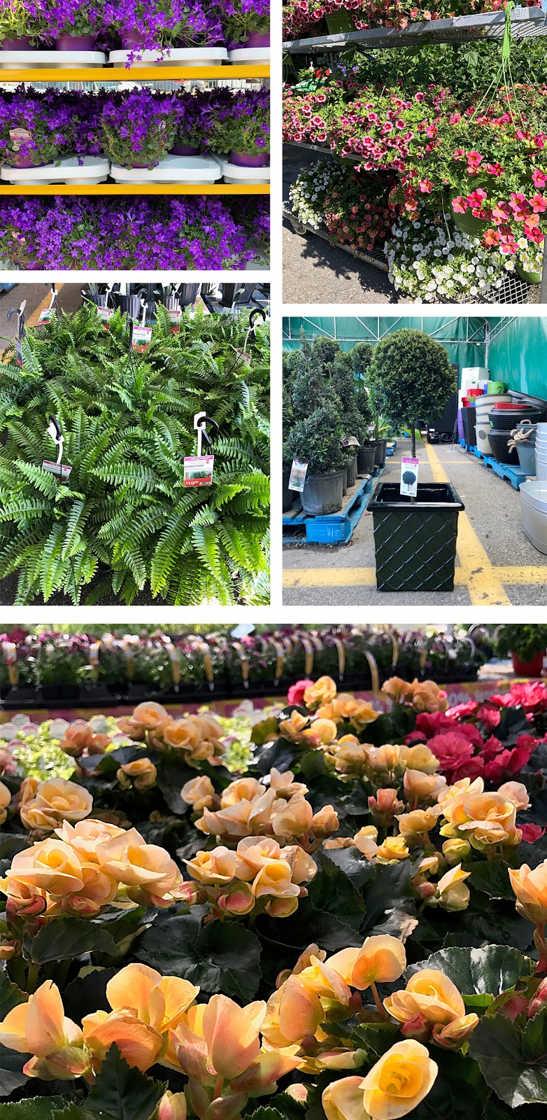 Getting Kids In The Garden - Rambling Renovators