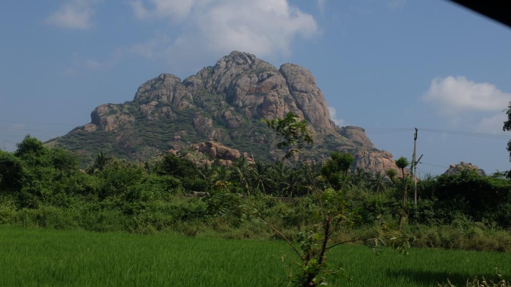 Maruthuva Malai - Best Resort in Kerala