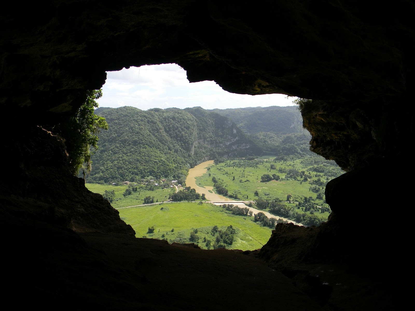 Bat Cave Puerto Rico at Joseph Florence blog