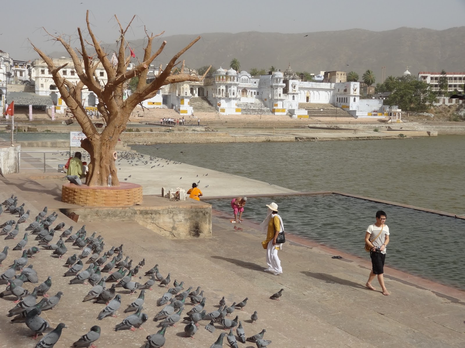 thotspot: ENCHANTING RAJASTHAN-II