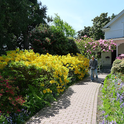 Good Life Northwest: A PHOTO TOUR OF THE HULDA KLAGER LILAC GARDENS