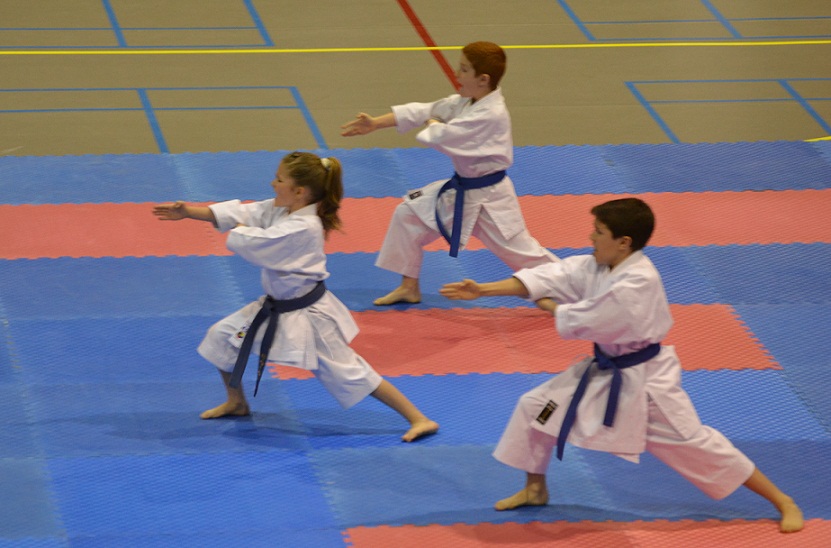 JOSÉ MANUEL MAYO ENTRENADOR PERSONAL: Kata Pinan Shodan,