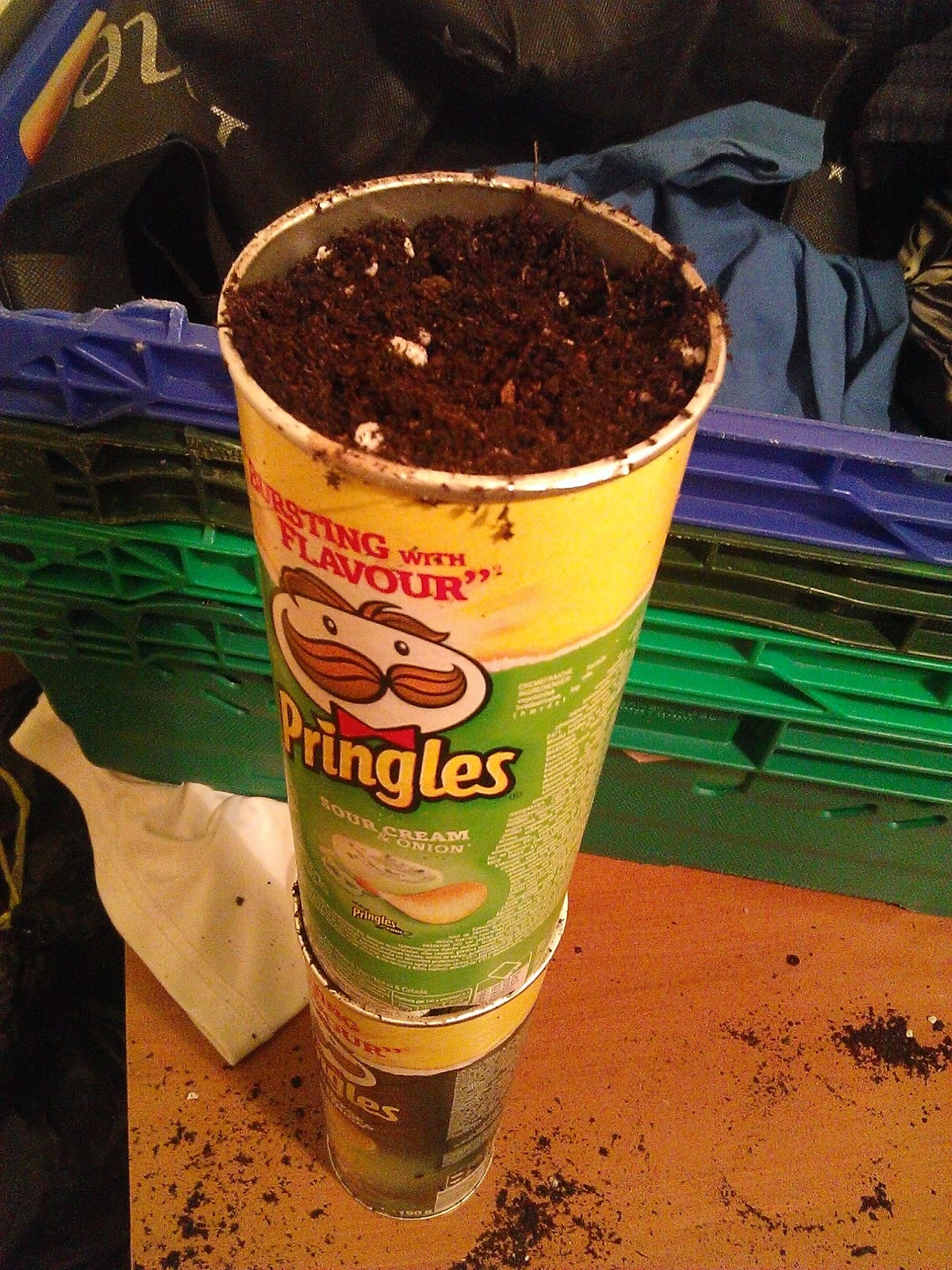 Medicinal cannabis grow: Pringles pot