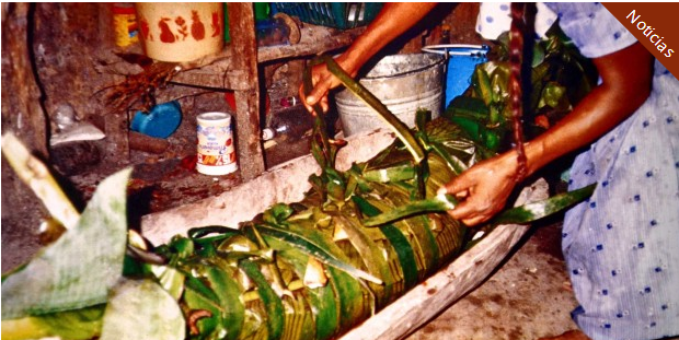 LOS TRIQUIS : Comida Tradicional.