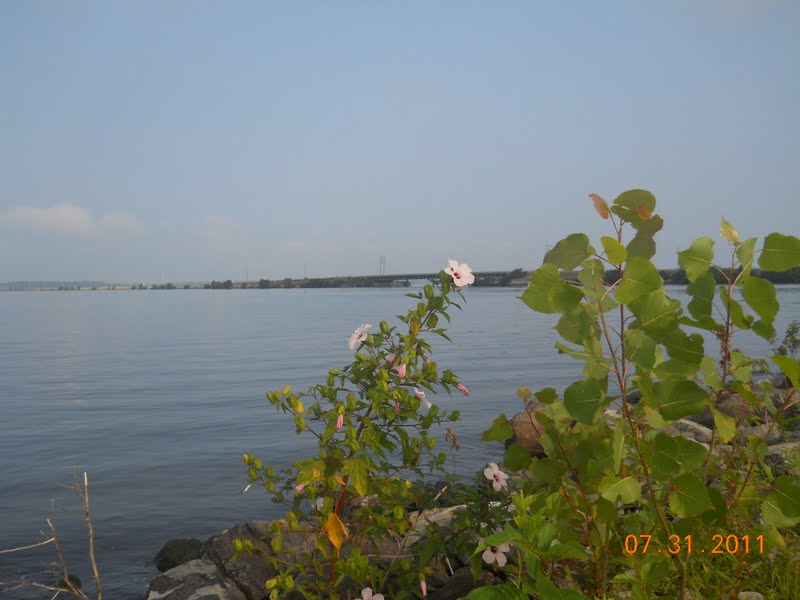 The Long Road Home: Mom's View--Sesser to Ewing, IL