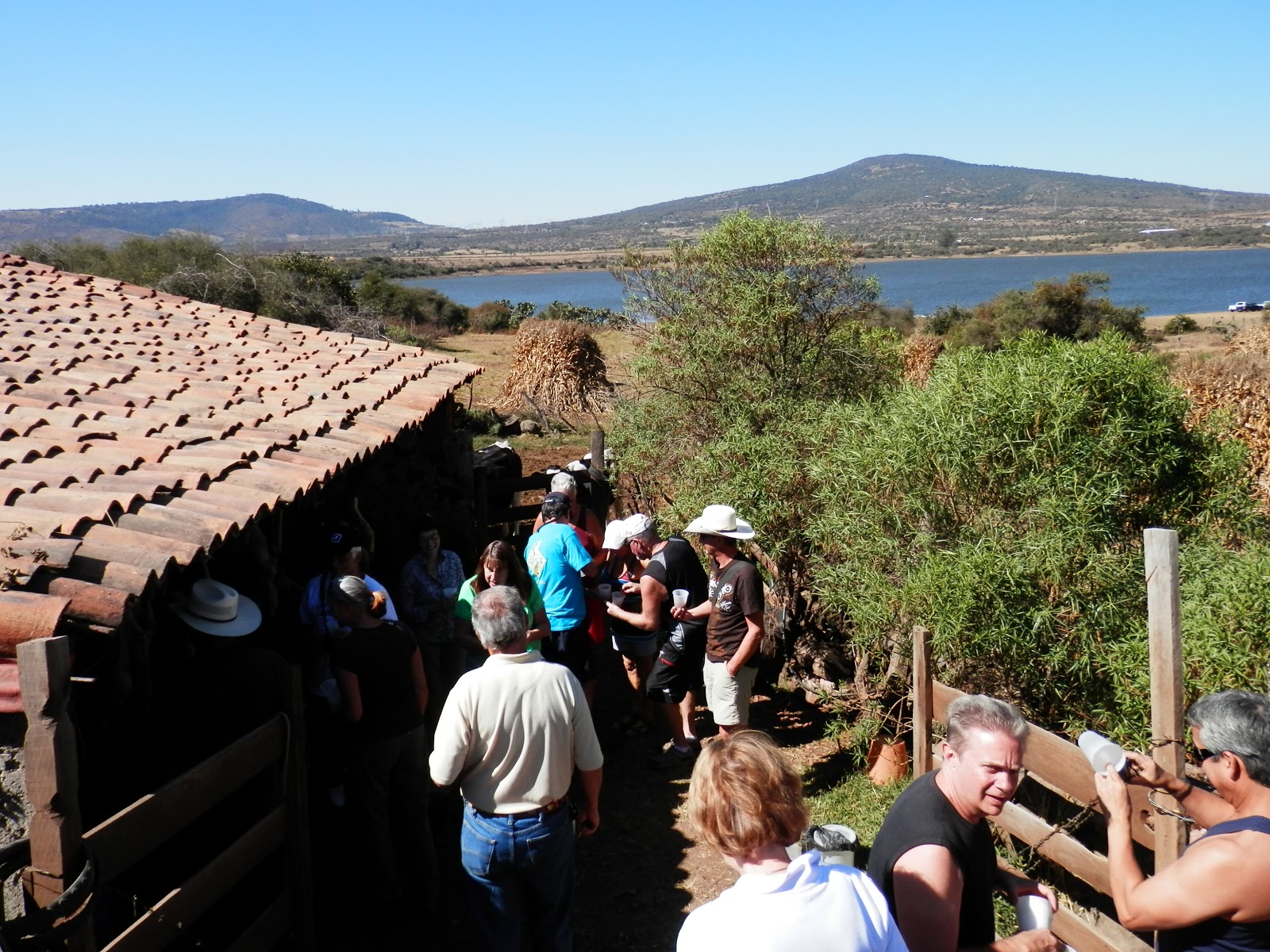 Travel with Kevin and Ruth: Pajaretes and puppies!