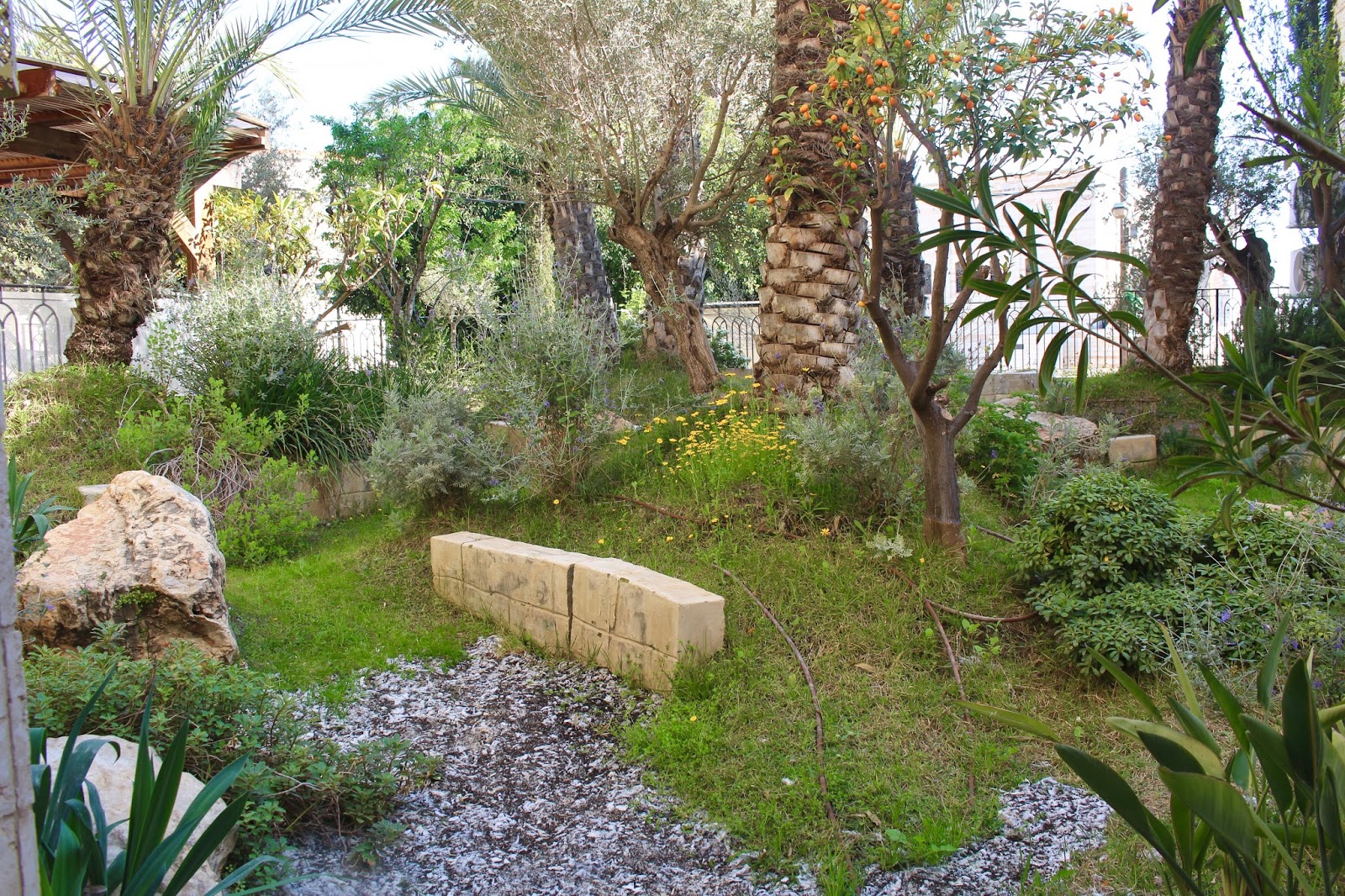 Nazareth: A Whirlwind of Delicious Foods and Warm Hospitality – Diary ...