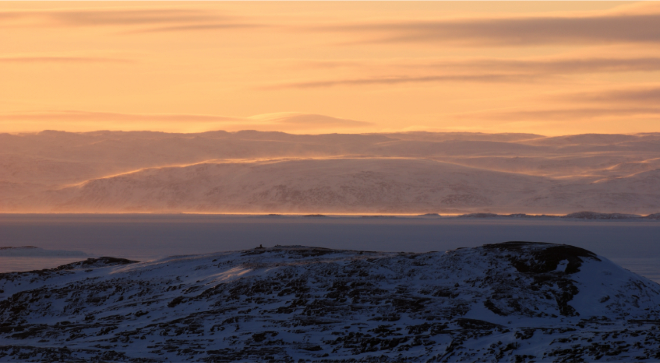The Artic Tundra: The Arctic Tundra