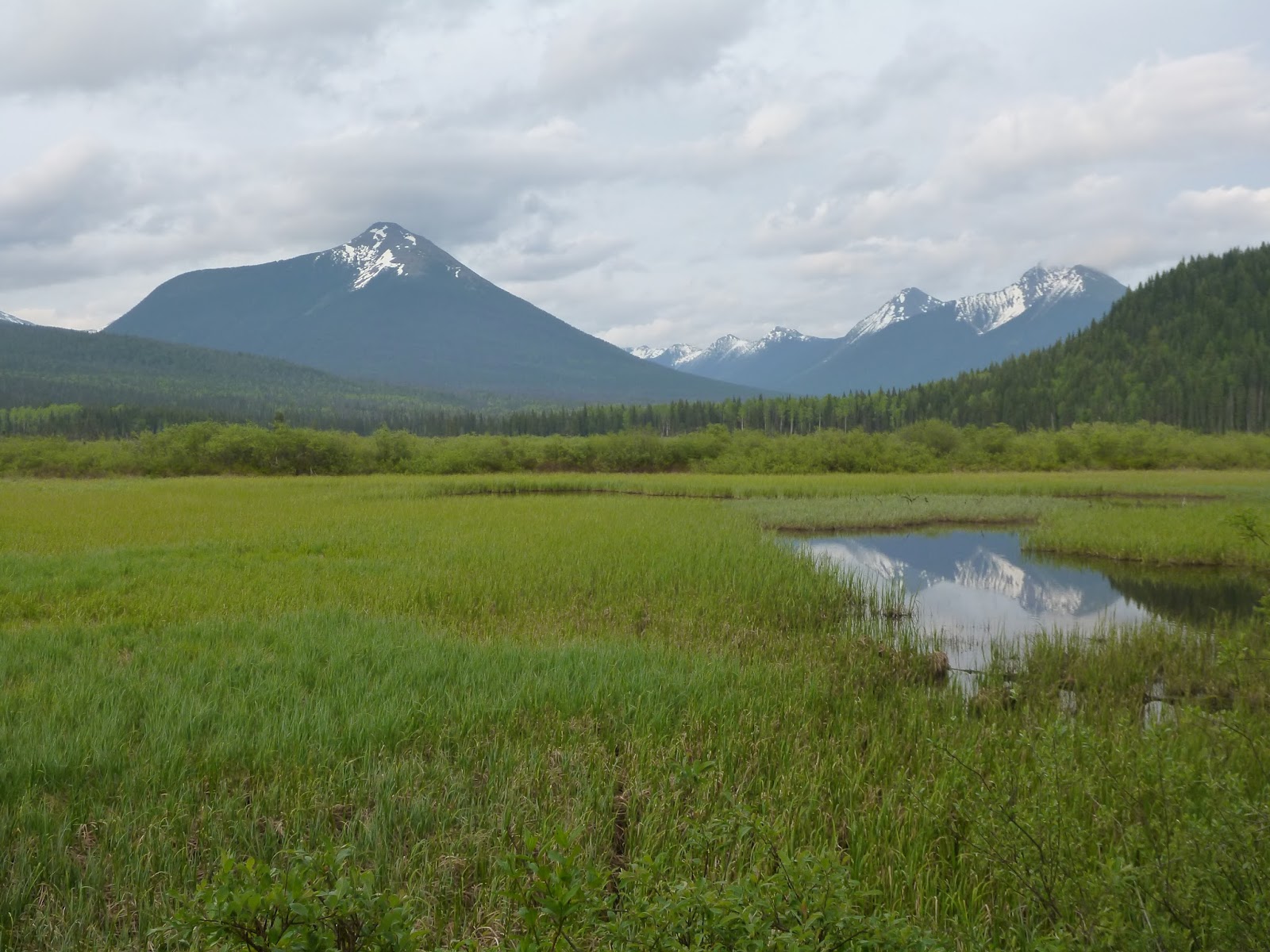 Beyond the Skyline: Bowron Lakes Chain: Am I a Proper Canoeist Now?