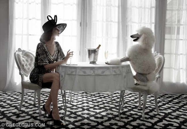 art planet- urban culture: GREG LOTUS E SUA FOTOGRAFIA DE MODA