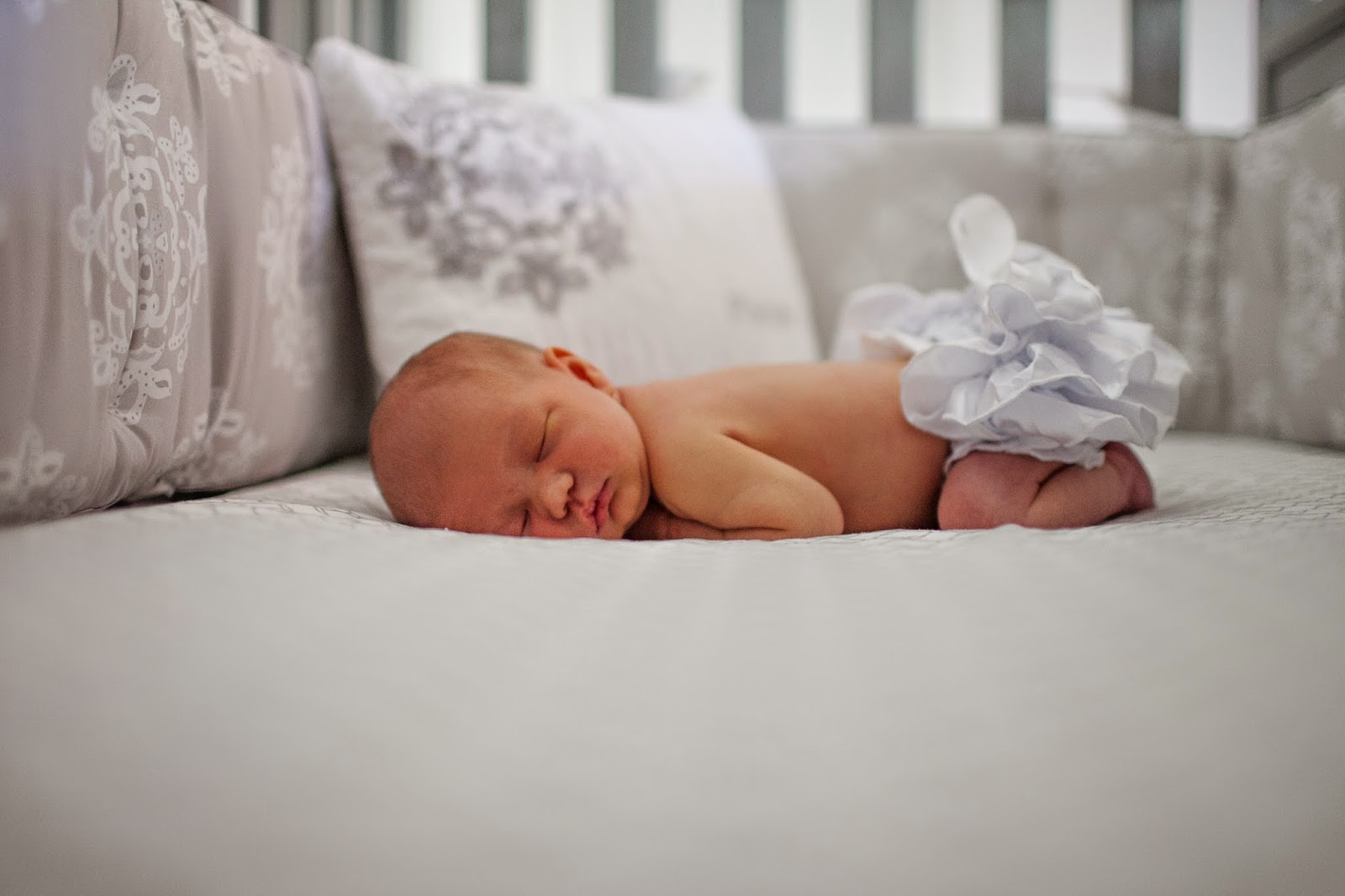 Porter Rae - This Whole House