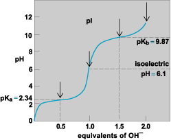 Next Biotechnology News | eBio World: What's Isoelectric Point?